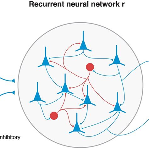 Pdf Training Excitatory Inhibitory Recurrent Neural Networks For