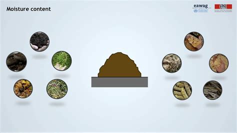Composting Process