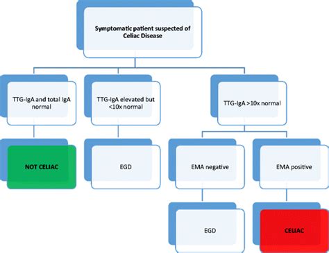 Algorithm For Working Up The Symptomatic Celiac Patient Download Scientific Diagram