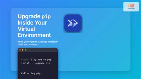 How Do I Updateupgrade Pip Itself From Inside My Virtual Environment Complete Guide Codelucky