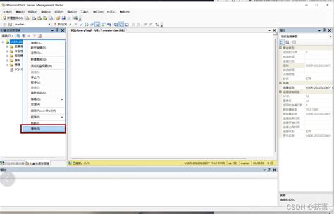 Sql Server 数据库之sql Server 数据库的安全设置sql Server Bulkadmin Csdn博客