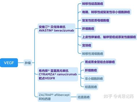 记住所有fda生物药 抗肿瘤vegfr 贝伐珠单抗、雷莫西尤单抗、阿柏西普等 实体肿瘤 知乎