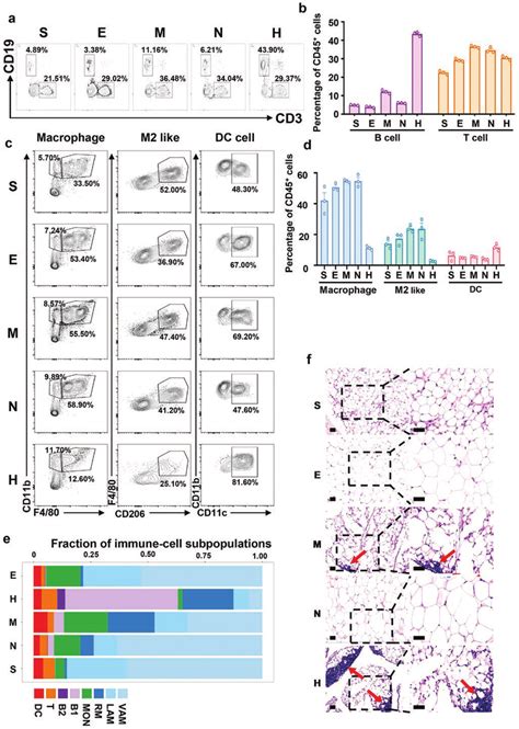 Flow Cytometry Experiments Subpopulation Proportions Of Immune Cells Download Scientific