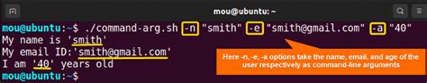 8 Examples Of “while” Loop In Bash Linuxsimply