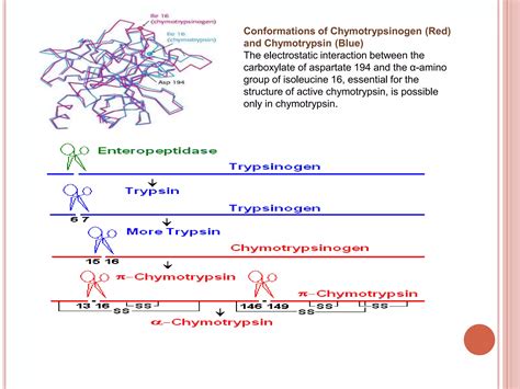 Post Translational Modifications Pptx