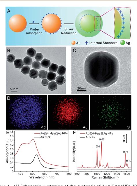 Figure 1 From The Rationality Of Using Coreshell Nanoparticles With Embedded Internal Standards