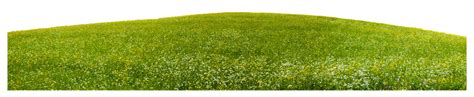 Download Hill Field Grass Royalty Free Stock Illustration Image Pixabay