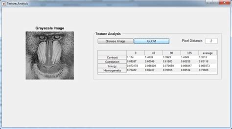 Texture Analysis Gray Level Co Occurrence Matrix Glcm Gui Matlab
