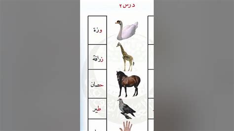 الأحرف الأبجدية أبجد هوز حطي كلمن Youtube