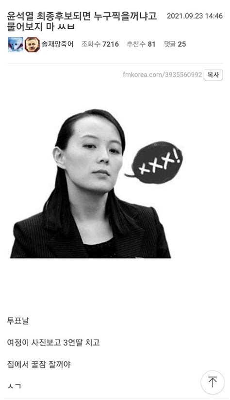 김여정 정치 시사 에펨코리아