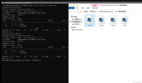 最新php扩展sg11解密教程分享视频模式sg11解密工具 Csdn博客 最新php扩展sg11解密教程分享视频模式sg11解密工具 Csdn博客