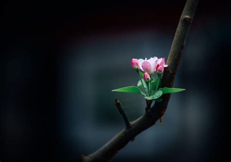 Blog Iw Impassive Wealth