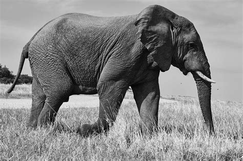 Why Do I Use Postgresql For My Rails Backend And How To Set It Up By Norberto Santiago Codex