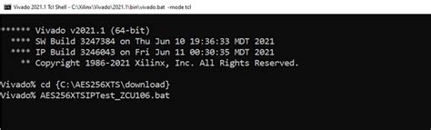 AES XTSIP Instruction Xilinx En AES XTSIP Instruction Xilinx En