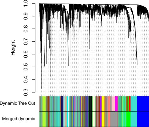 Clustering Dendrogram Of Genes The Hierarchical Clustering Tree Was