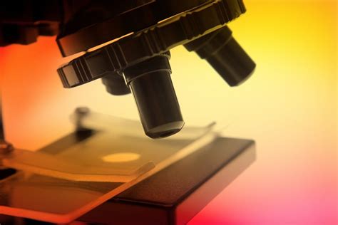 What Is Environmental Forensic Microscopy