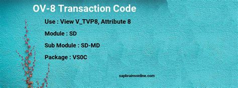 OV SAP Tcode For View V TVP Attribute