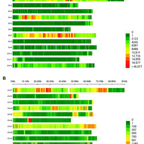 Density Distribution Of Filtered Snps A And Indels B Within 1 Mb