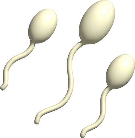 Sperm Pngs For Free Download