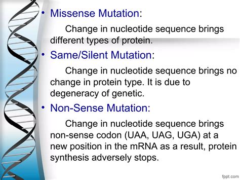 Gene Mutation And Its Types Ppt Genetics Science