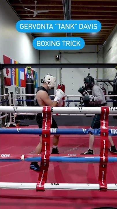 Think Of The Jab Like A Swiss Army Knife 🔪🧰boxing Sparring