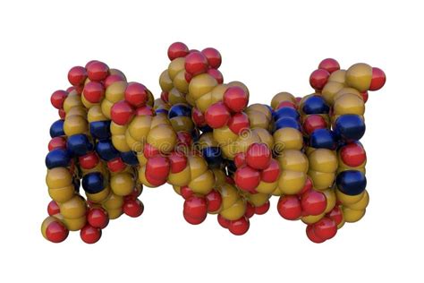 Structure Of A Dna Fragment D Cgtgaattcacg Space Filling Molecular Model On White Background