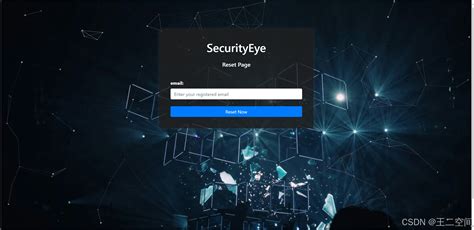 多功能 Web 应用渗透测试系统旁站探测 漏洞 Csdn博客
