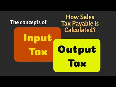 Sales Tax What Is Input Tax And Output Tax How Tax Liability Is Calculated YouTube