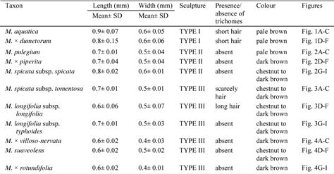 Table 2 From Nutlet Morphology And Its Taxonomic Significance In The