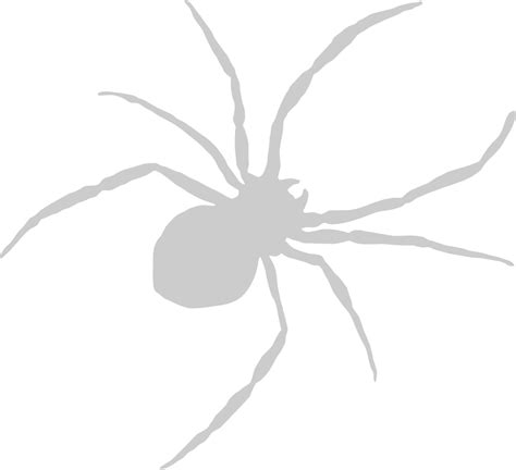 Spider 36633935 Vector Art At Vecteezy