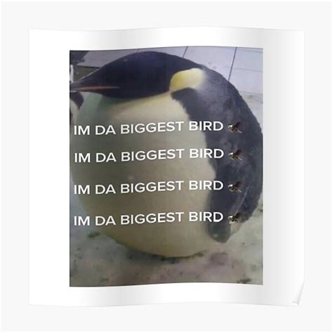 Im Da Biggest Bird Tiktok Meme Poster For Sale By Guybubbles Redbubble
