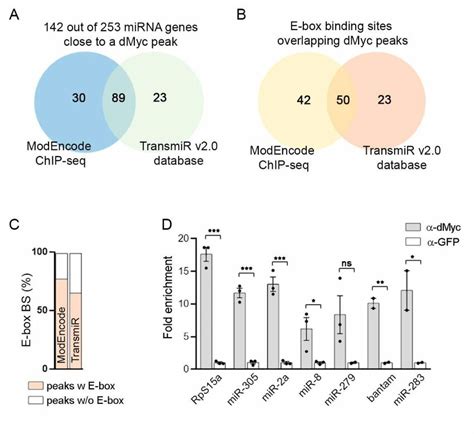 Identification Of Myc Regulated Mirnas In Drosophila A Venn Diagrams Download Scientific