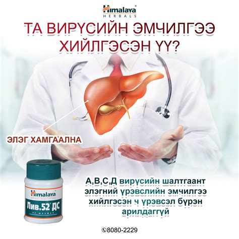 Himalaya Mongolia А В С Д вирүсийн шалтгаант элэгний үрэвслийн эмчилгээ хийлгэсэн ч үрэвсэл