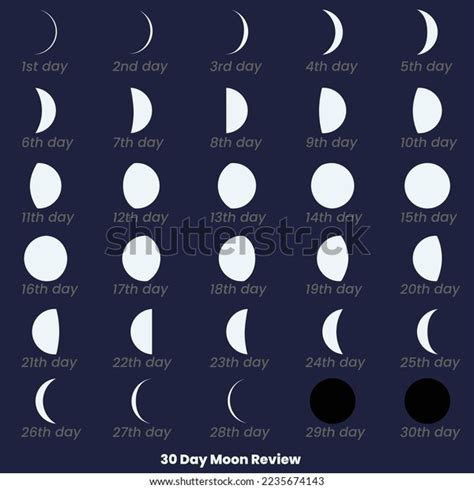 30 Day Moon Review Moon Phases Stock Vector Royalty Free 2235674143