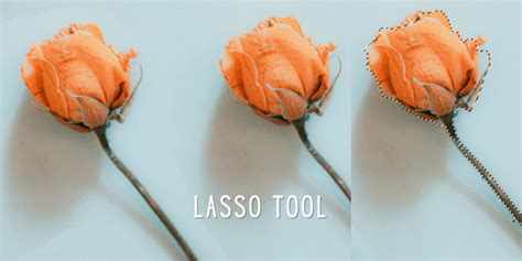 How To Use Lasso Tool In Photoshop Quick Tips And Guides