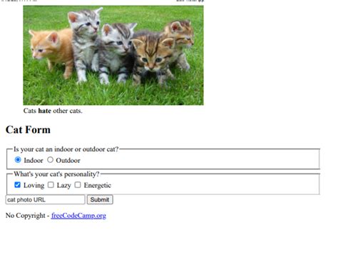 Github Vismay01freecodecamp Solving Problemsprojects Given On