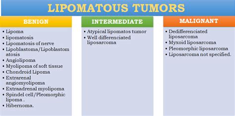 Liposarcoma Vs Lipoma Myxoid Liposarcoma With Extensive Lipoma Like