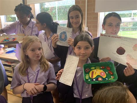 Year 7 Science Cell Models Queenswood