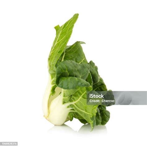 박 초이 복 쵸이 또는 중국 양배추 흰색 배경 분리 복 초이 가장 잎이 많은 녹색 야채 0명에 대한 스톡 사진 및 기타 이미지 0명 건강한 식생활 근대 비트 Istock