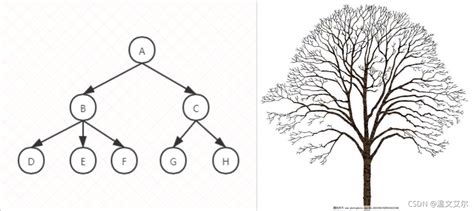 Hashmap底层红黑树原理(超详细图解)手写红黑树代码hashmap 红黑树 Csdn博客 Hashmap底层红黑树原理(超详细图解)手写红黑树代码hashmap 红黑树 Csdn博客