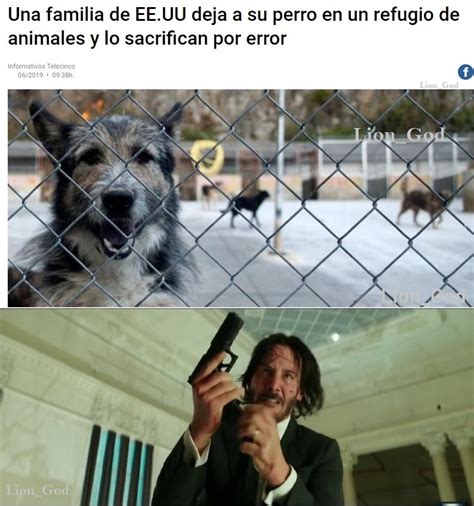 Negligencia Veterinaria Meme Subido Por Liongod Memedroid