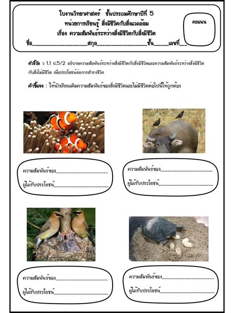 แบ่งปันใบงานวิทยาศาสตร์ป5 แกลเลอรีที่โพสต์โดย ปันสื่อวิทย์ Lemon8