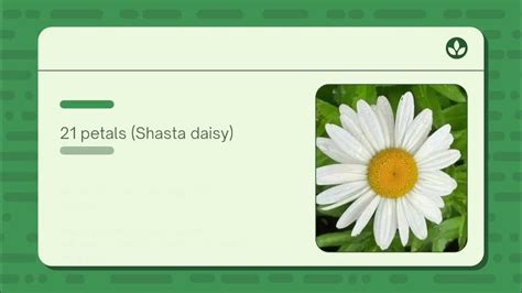 Fibonacci Sequence Youtube