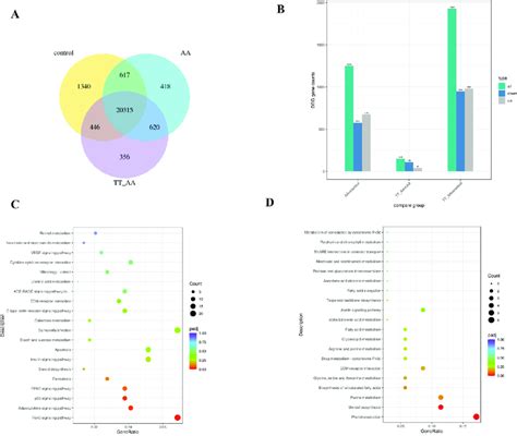 rna seq data analysis a venn diagram of gene counts expressed b