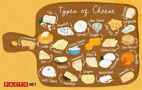 25 Types Of Cheese To Pair With Wine And Crackers