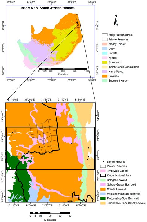 Remote Sensing Free Full Text Explaining Leaf Nitrogen Distribution In A Semi Arid