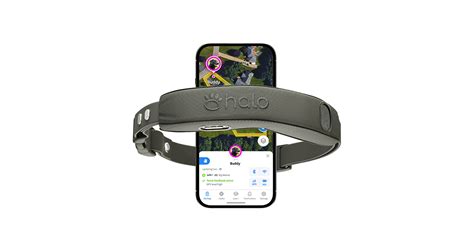 Gps Wireless Dog Collar Fence Halo Collar
