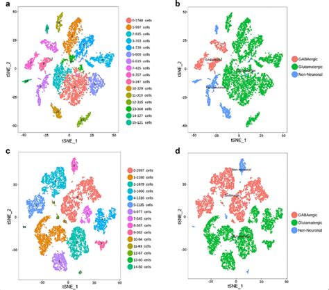 Cell Type Taxonomy In Human And Mouse V1 Cortex A B T Distributed