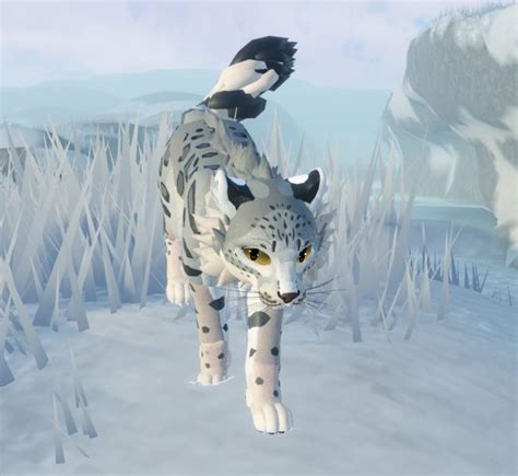 Snow Leopard Wcue Morph Кошачий дизайн Бумажные животные Кот воитель