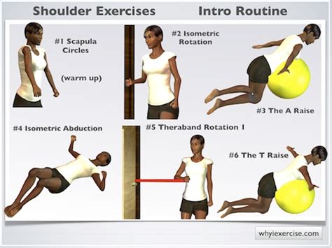 Isometric Exercises For Shoulder Fodaid